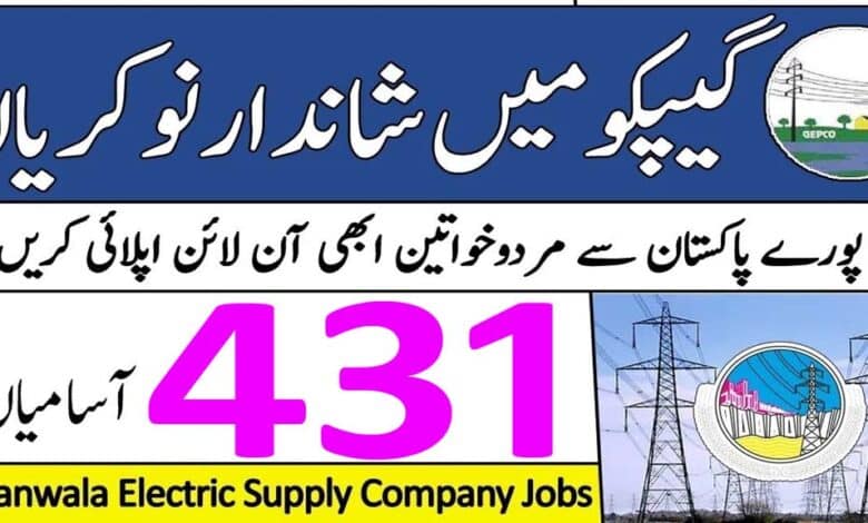 431 Latest NTS GEPCO Jobs 2025-Apply Online